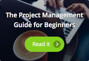 8 Project Management Infographics You Have to See